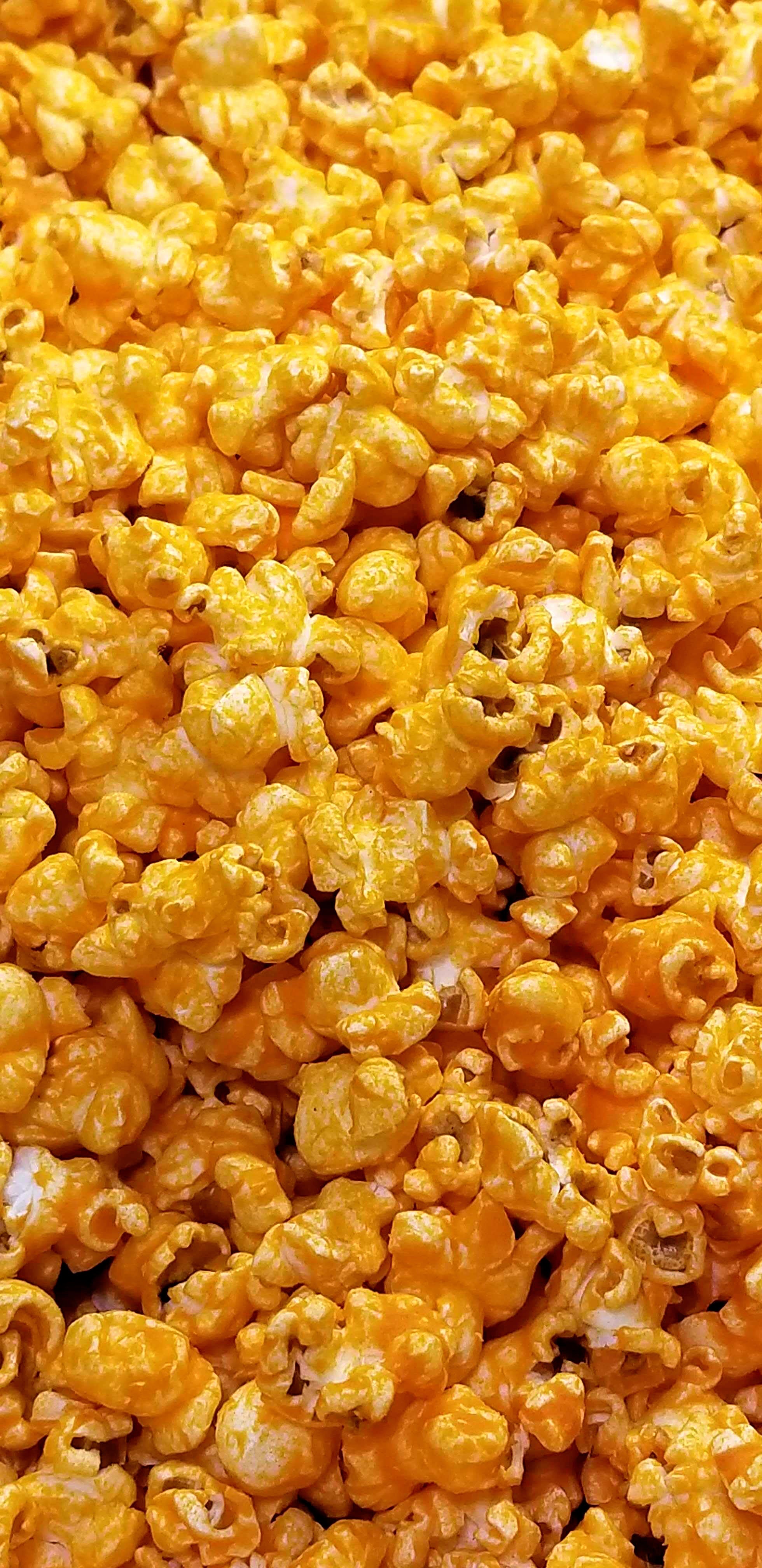 Cheesy Corn™ Gourmet Popcorn | Renee's Specialties: Home of Renee's Popcorn